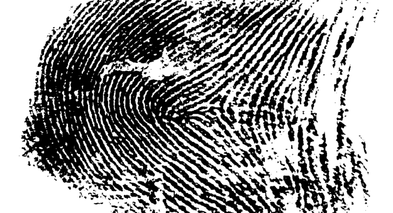 Thomas Jennings – Bruce Goldfarb