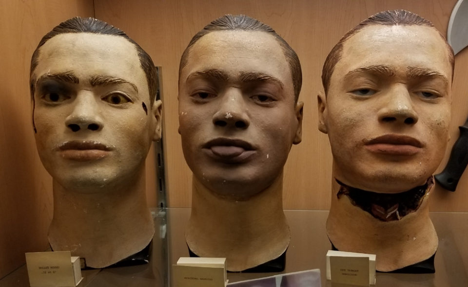 A Model Citizen – Bruce Goldfarb